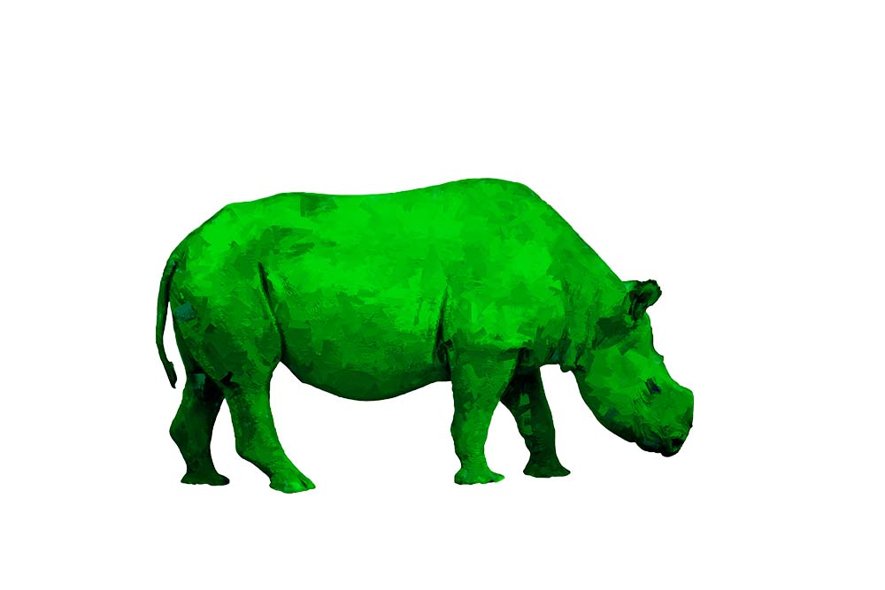 Project Rhino