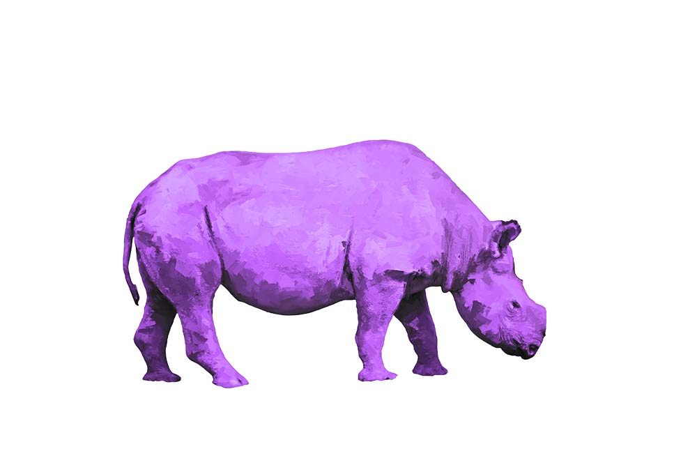 Project Rhino